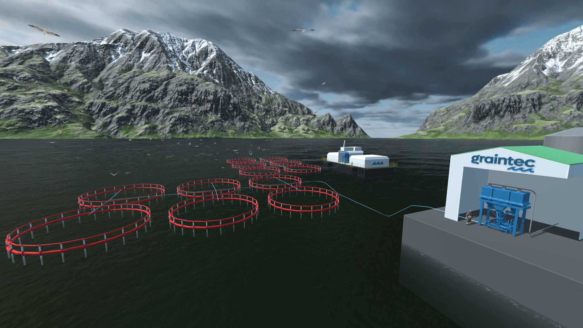 Feeding System Off-Shore Hyflow - Graintec